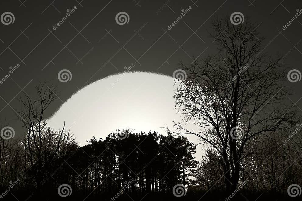 Apocalyptic Abstract of Setting Sun Behind Forest Silhouette Stock ...