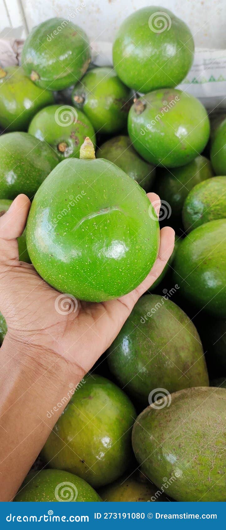 Miki Avocado Stock Photos - Free & Royalty-Free Stock Photos from ...