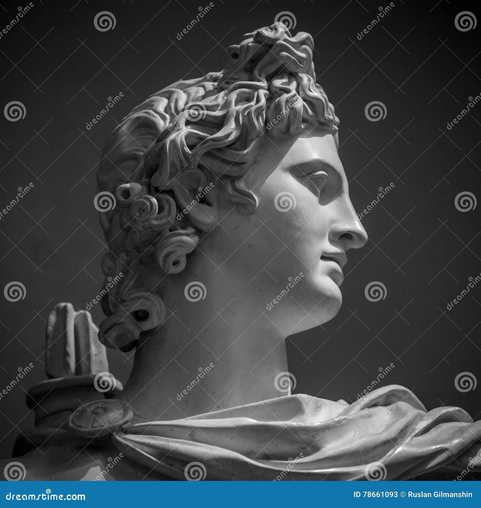 Apollo Belvedere Statue. Detail Vatican Museum Editorial Image ...