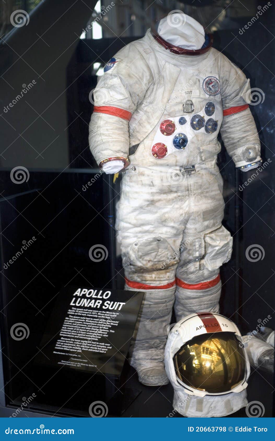 Apollo David By Michelangelo Buonarroti Editorial Image | CartoonDealer ...