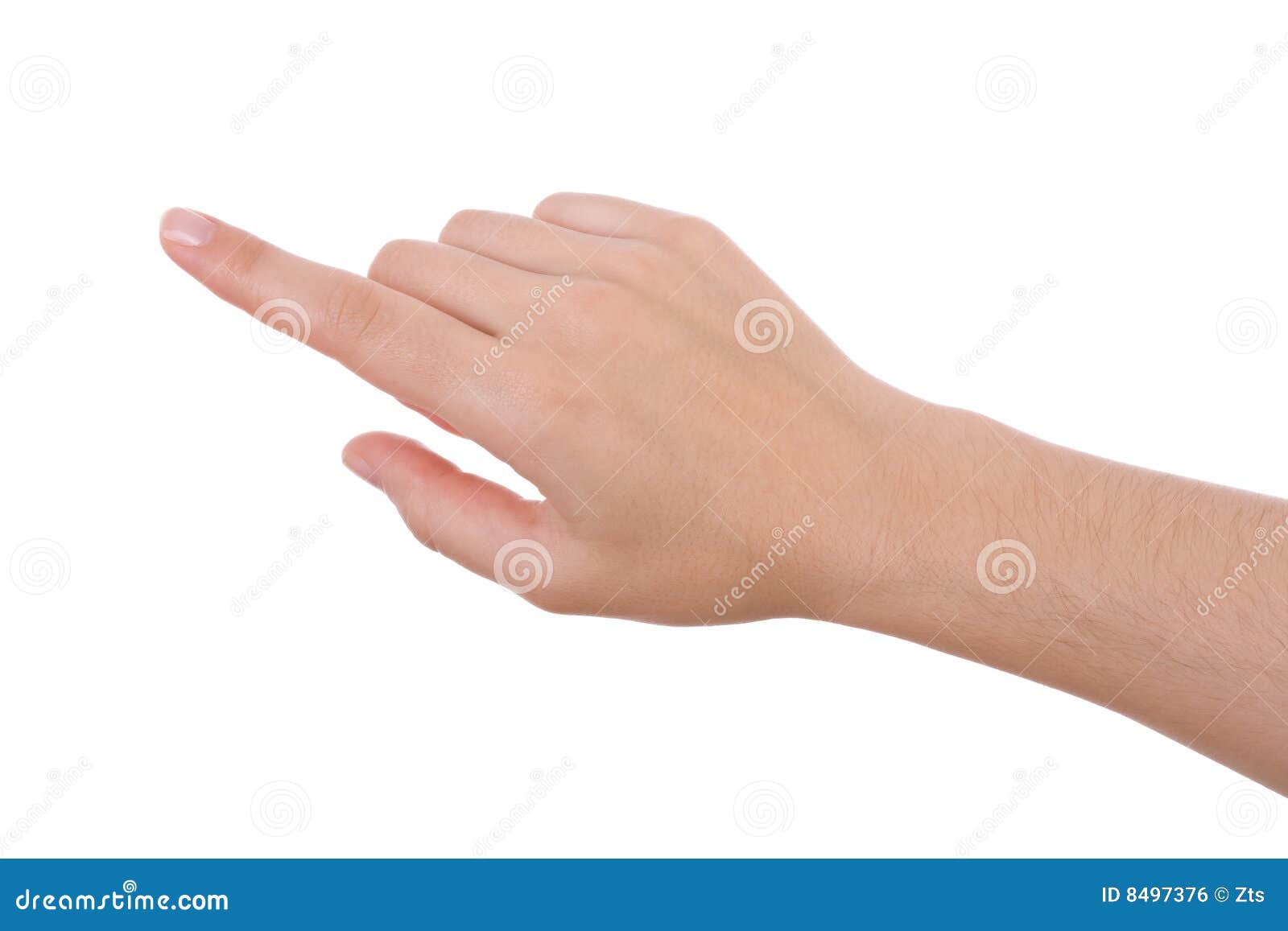 Apontar Da Mão Isolado No Branco Foto de Stock - Imagem de indicar ...