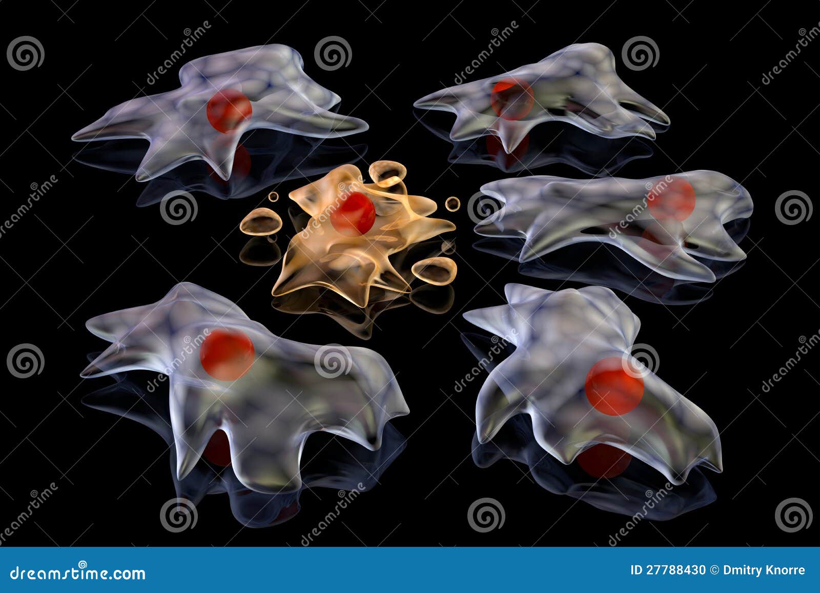 Apoptosis And Necrosis. Difference. Vector Illustration | CartoonDealer ... Apoptosis And Necrosis. Difference. Vector Illustration | CartoonDealer ...