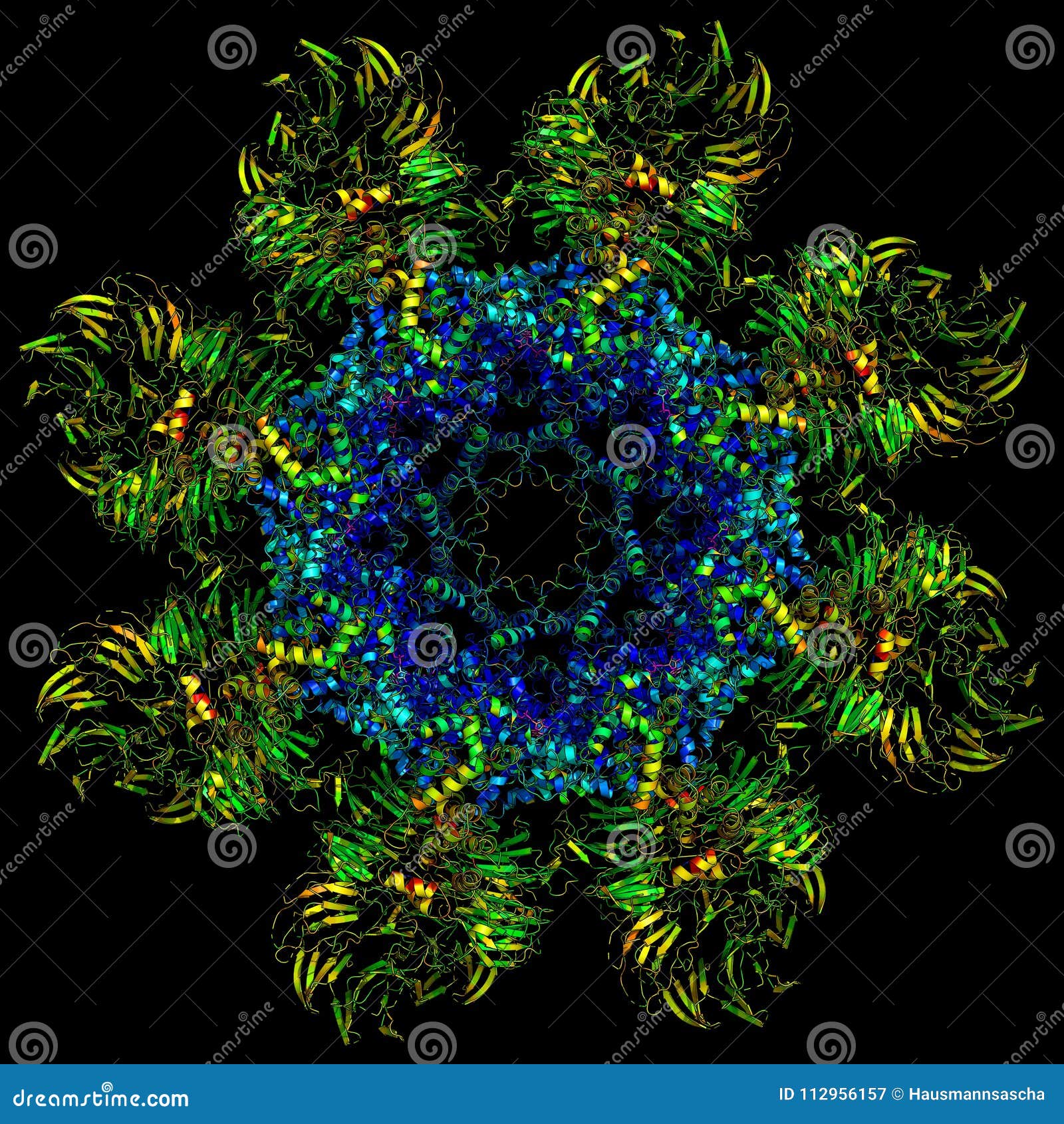 Apoptosis Process Stages As Programmed Cell Death In Labeled Outline ... Apoptosis Process Stages As Programmed Cell Death In Labeled Outline ...