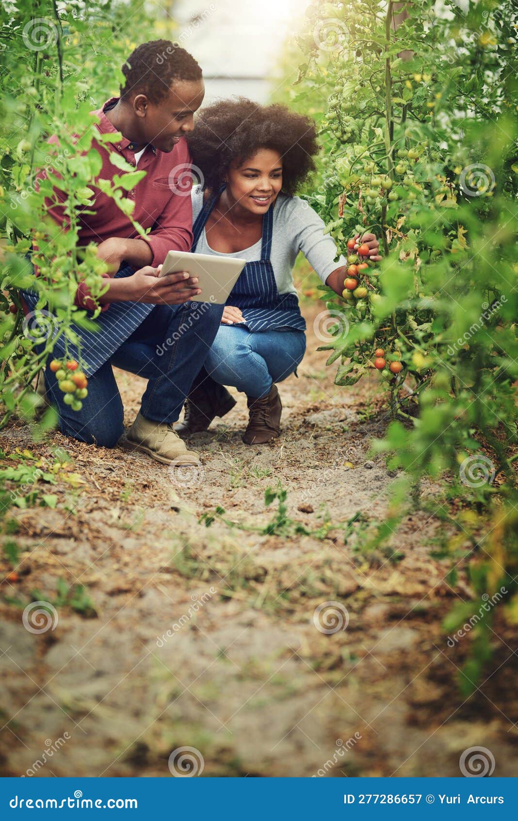 This App Explains Everything so Clearly. Full Length Shot of Young Farm ...