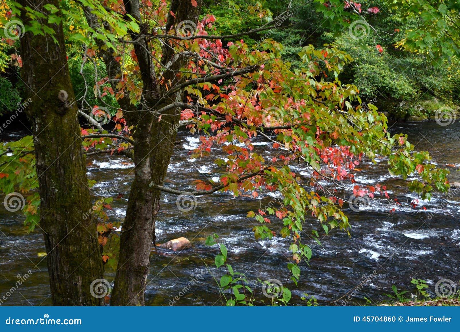 Appalachian Mountain River Autumn-0 Stock Photo - Image of ridge ...