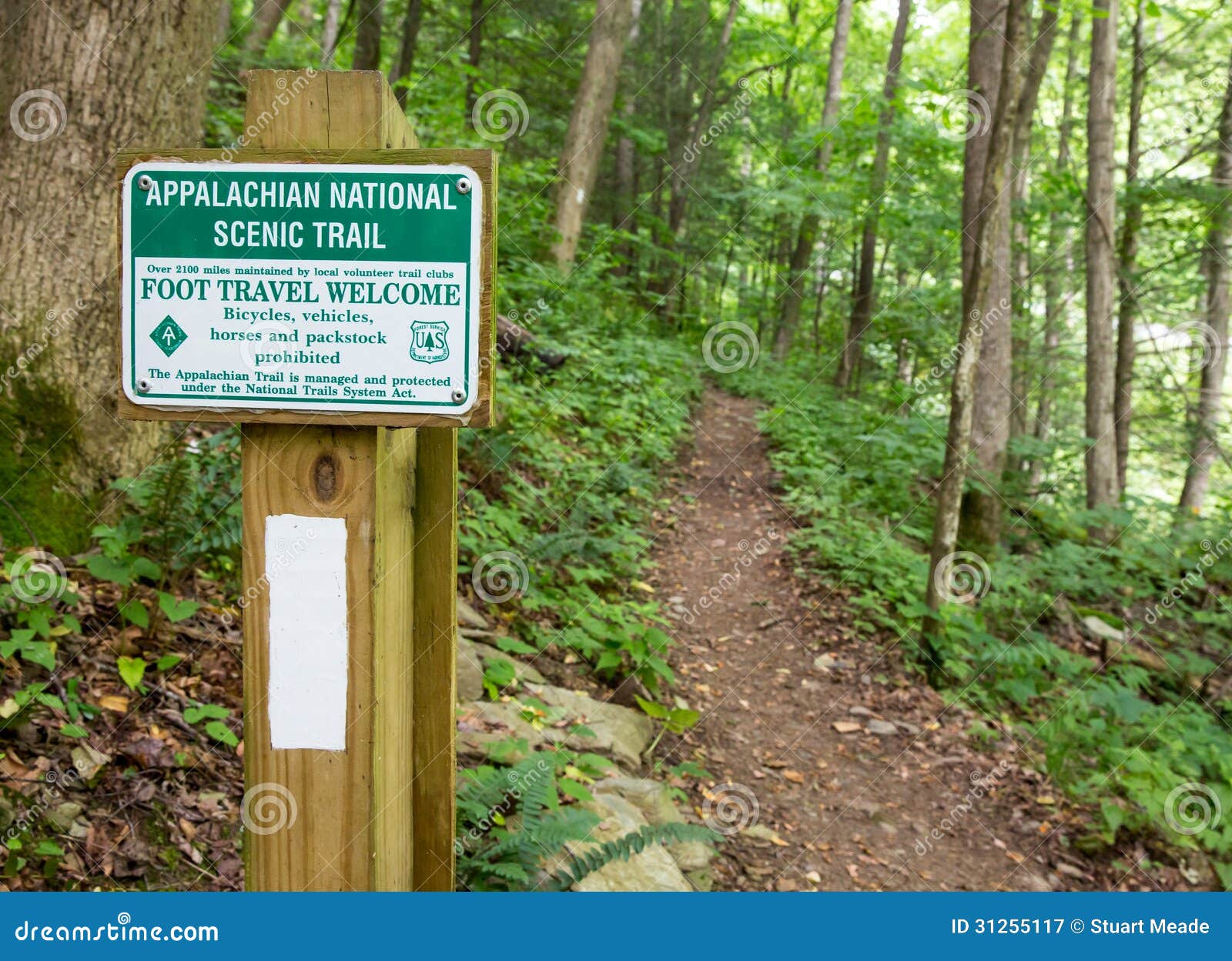 Appalachian Trail Royalty-Free Stock Photo | CartoonDealer.com #31255185 Appalachian Trail Royalty-Free Stock Photo | CartoonDealer.com #31255185