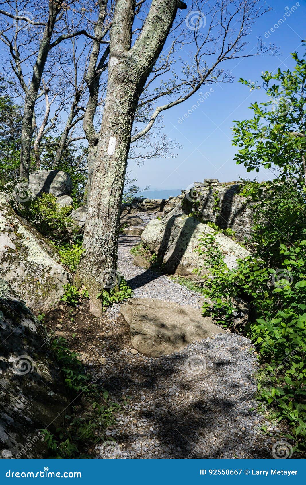 Appalachian Trail at Thunder Ridge Overlook Stock Image - Image of ...