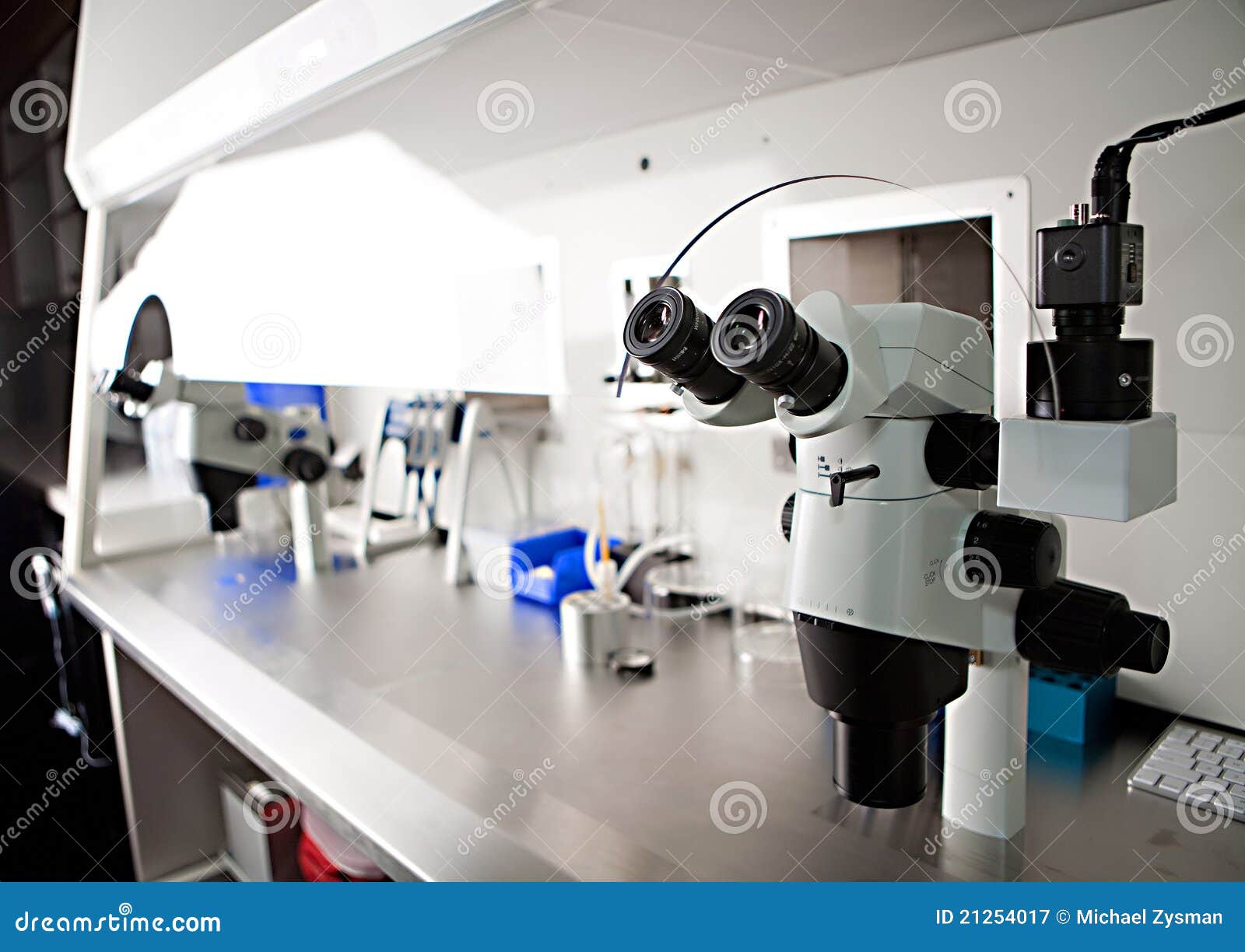Apparatuur De in Vitro Van Het Laboratorium Stock Afbeelding - Image of ...