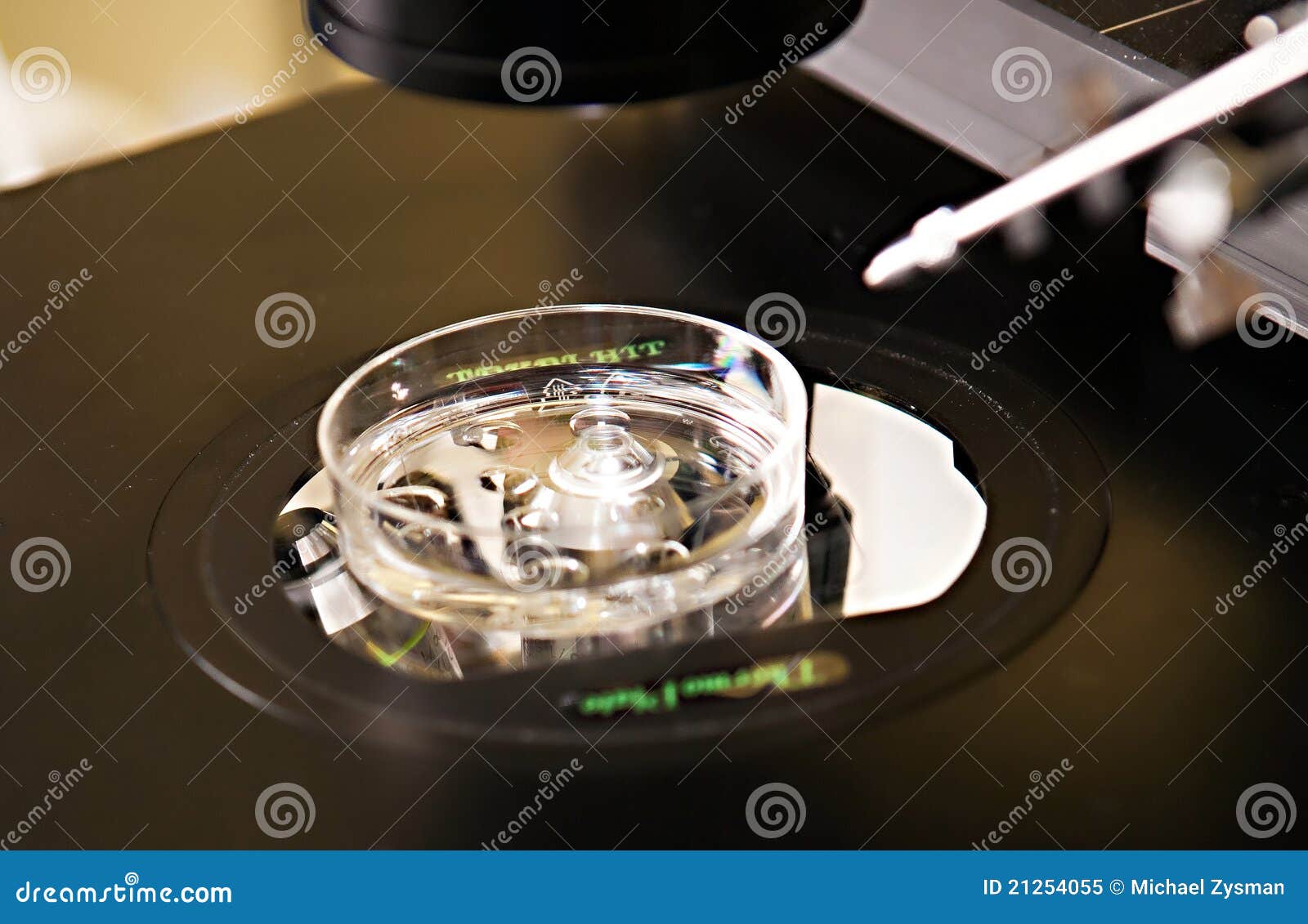 Apparatuur De in Vitro Van Het Laboratorium Stock Afbeelding - Image of ...