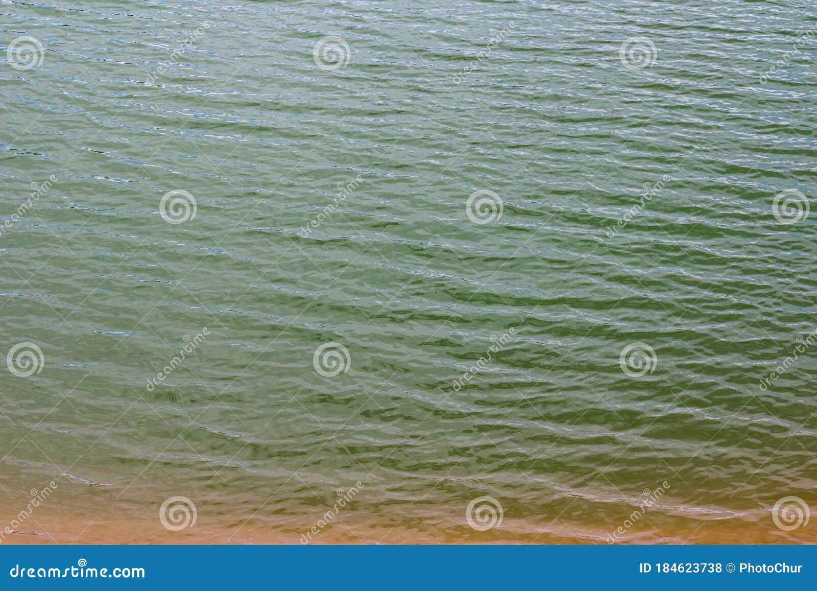 The Appealing View of a Pond with Ripples on the Surface of the Water ...