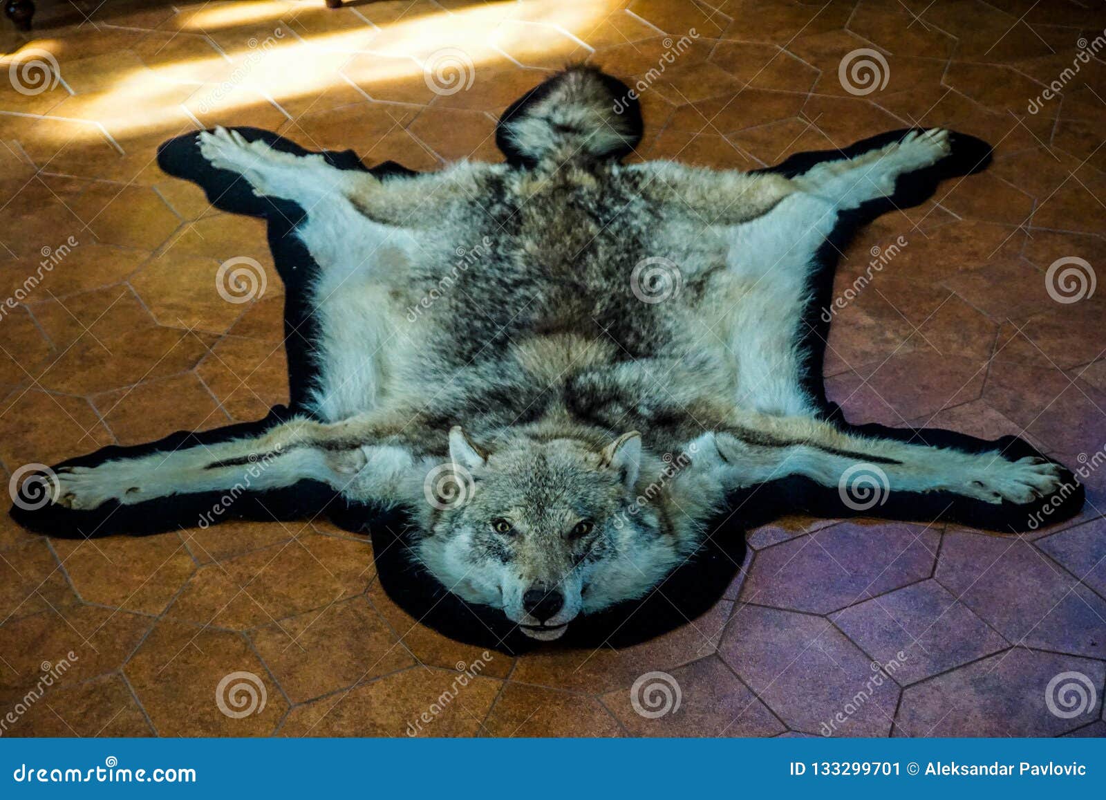 Wolf Head Fur Hide stock image. Image of harmless, decor - 133299701