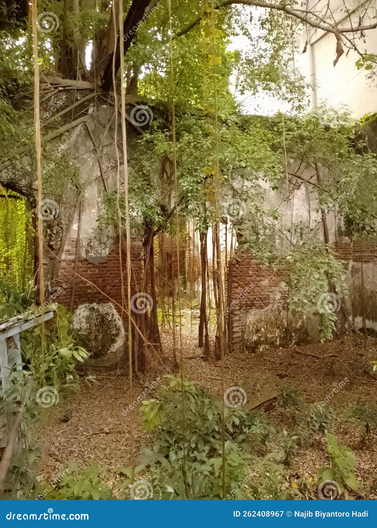 The Appearance of an Abandoned Building that Has Been Overgrown with ...