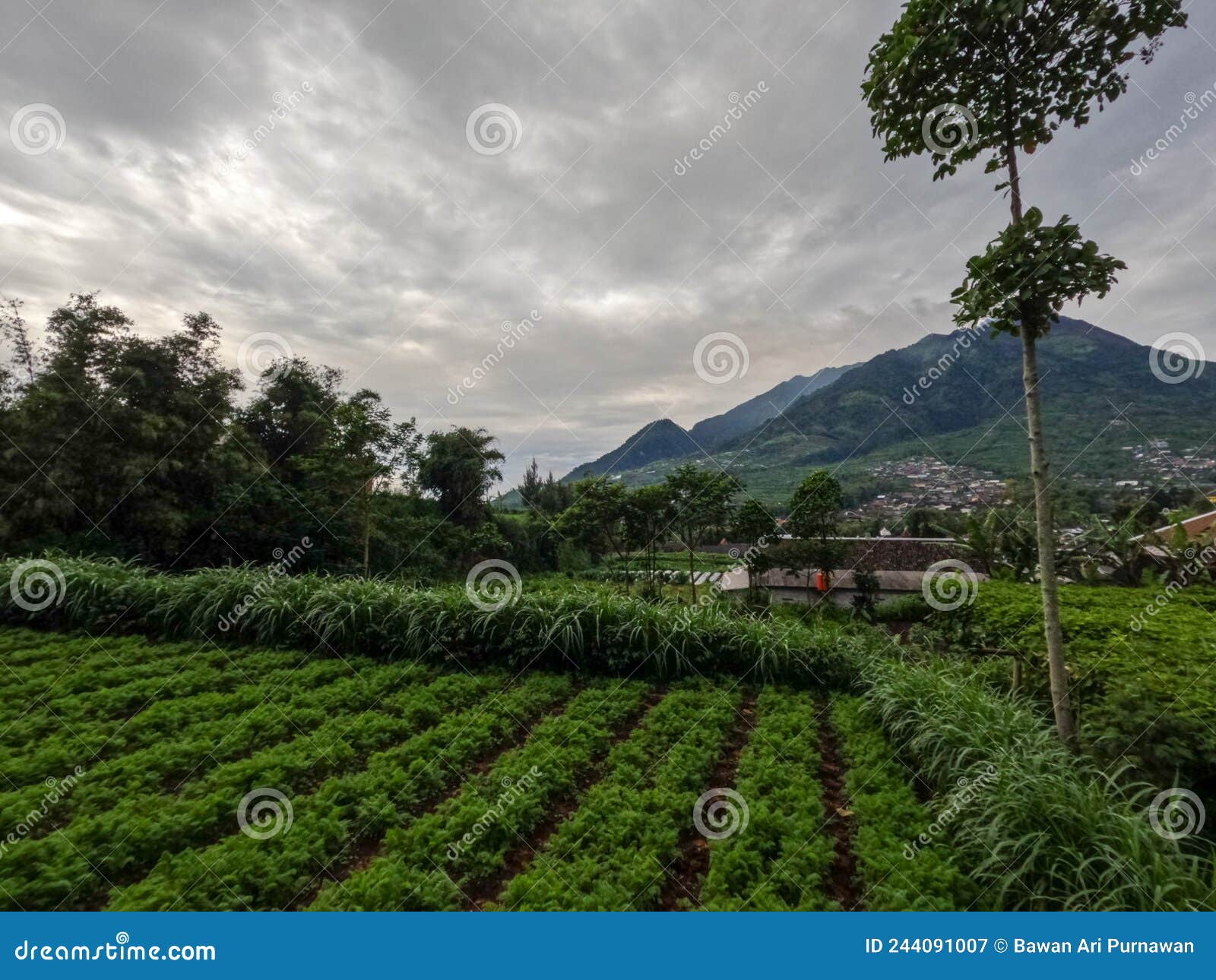 The Appearance of Mount Merapi Boyolali, Central Java Seen from the ...