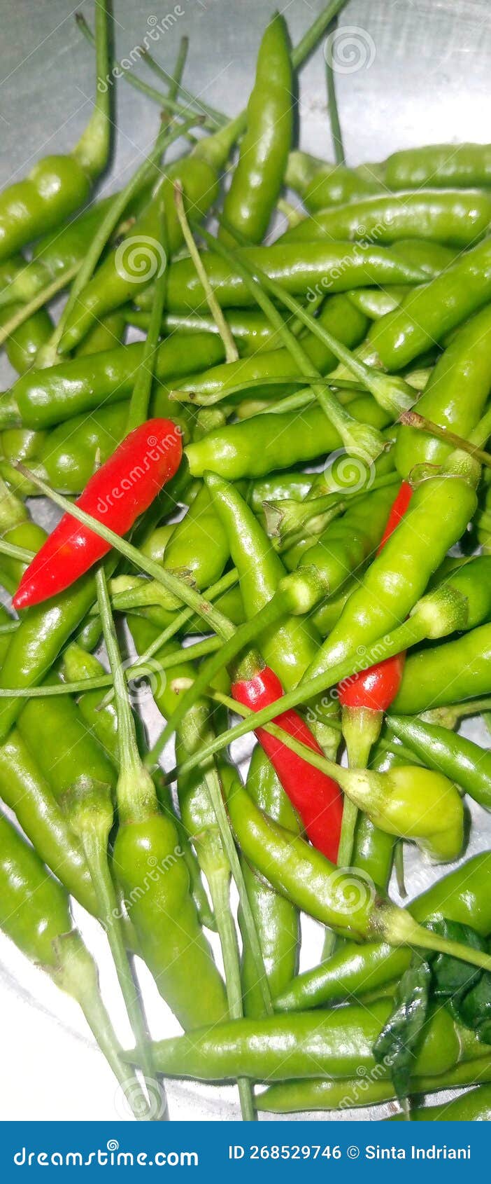 The Appearance of the Newly Finished Green and Red Cayenne/cayenne ...