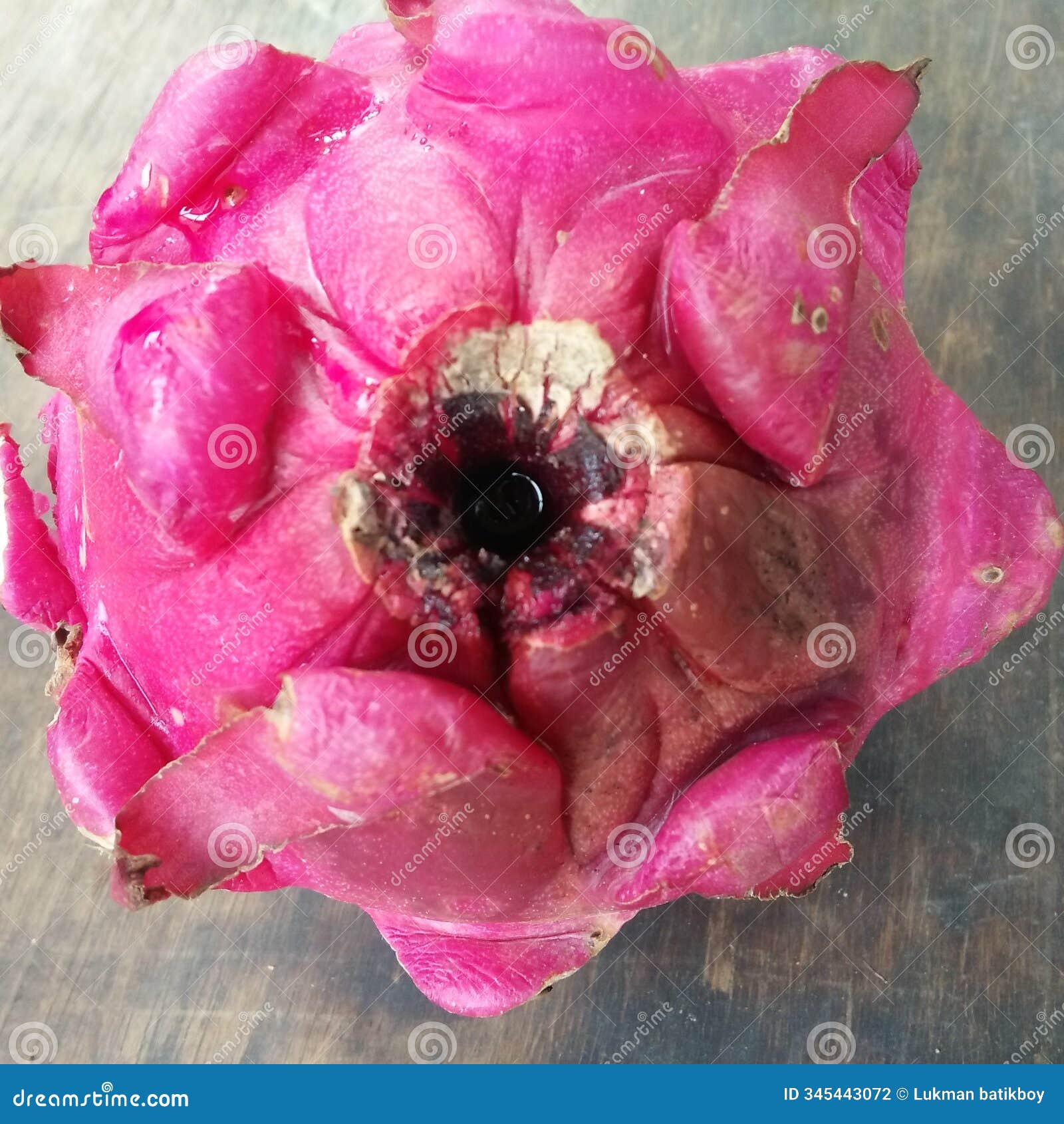 The Appearance of Ripe Dragon Fruit that is almost Partially Rotten ...
