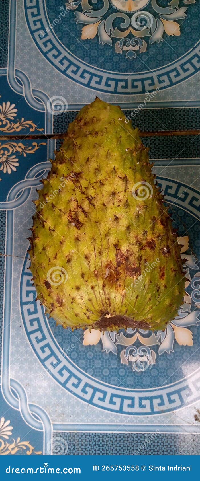 Appearance of Soursop Fruit, with a Large Size that is Ripe. Stock ...