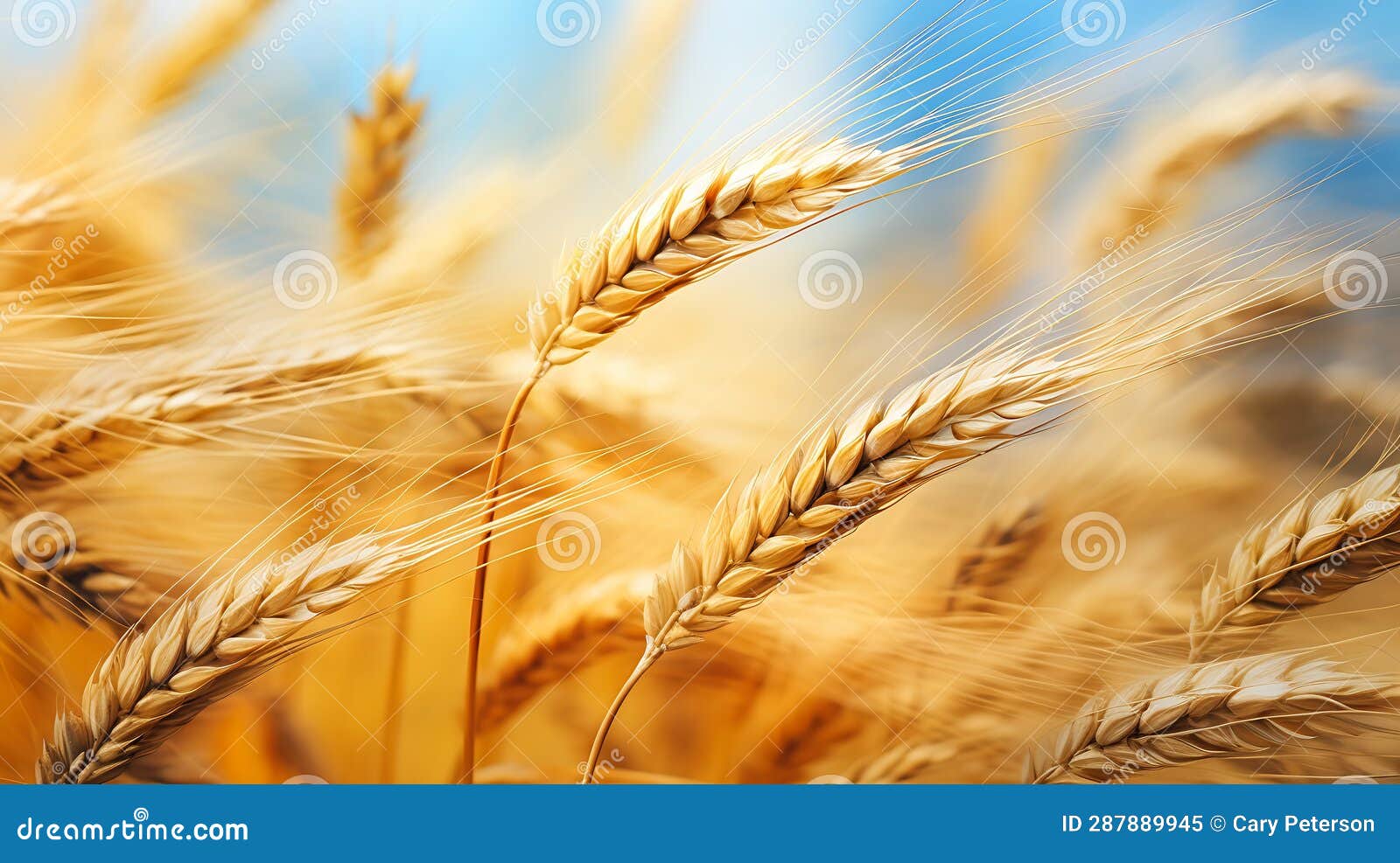 Appeasing Fork Stock Illustrations – 1 Appeasing Fork Stock ...