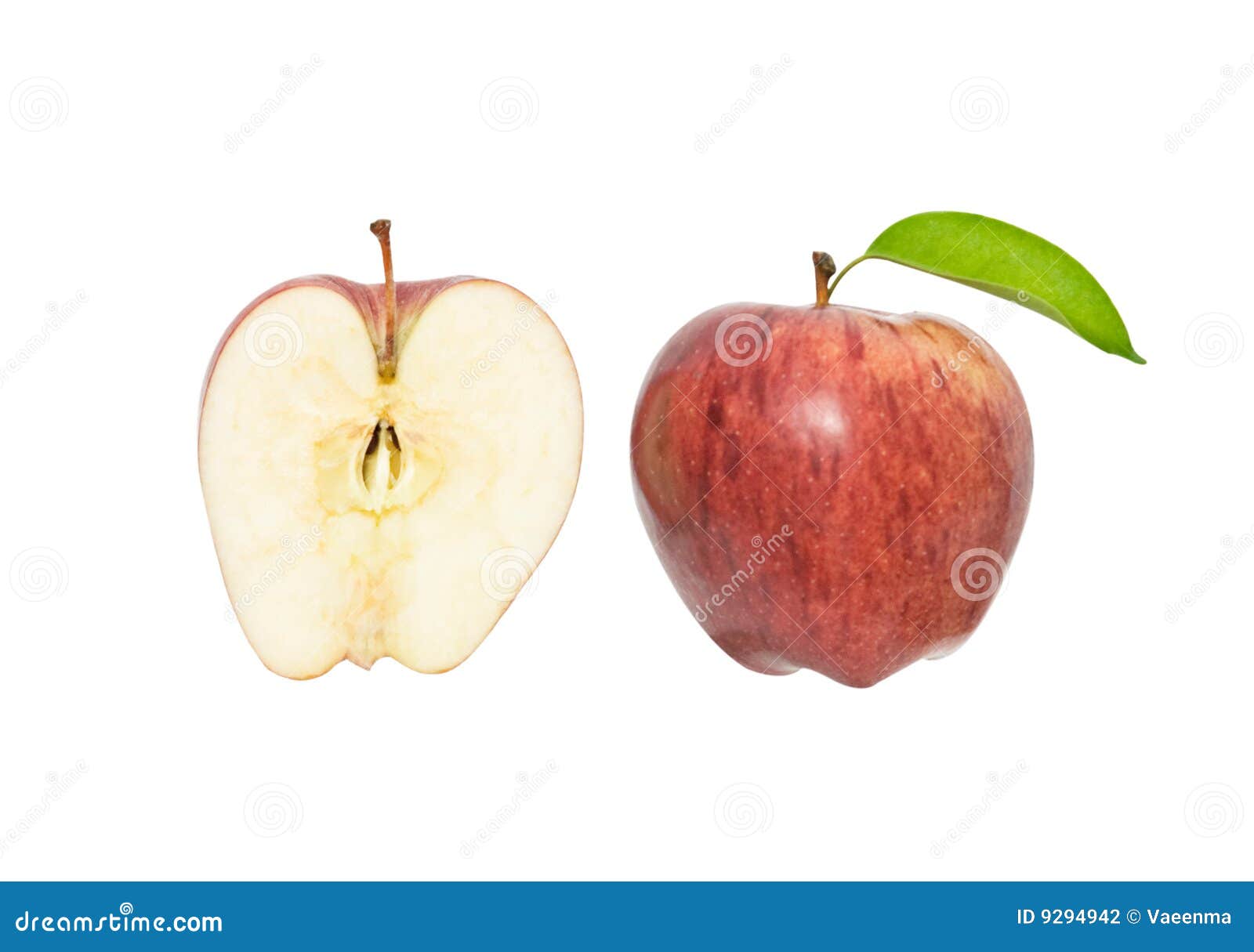 Appel En Zijn Dwarsdoorsnede Stock Foto - Image of geïsoleerd, vrucht ...