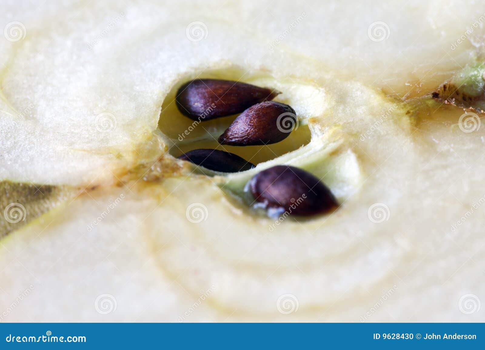 Appel zaden stock foto. Image of gezond, horizontaal, zaden - 9628430