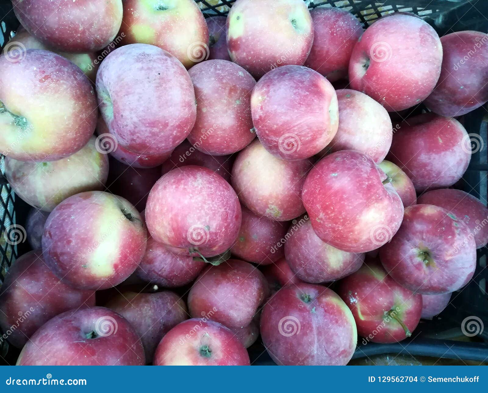 Appelen stock foto. Image of voedsel, vers, organisch - 129562704