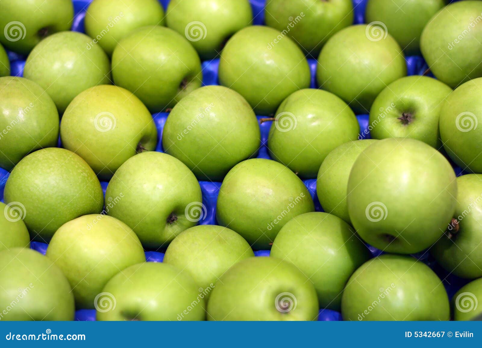 Appelen stock afbeelding. Image of voedsel, vrucht, afgerond - 5342667