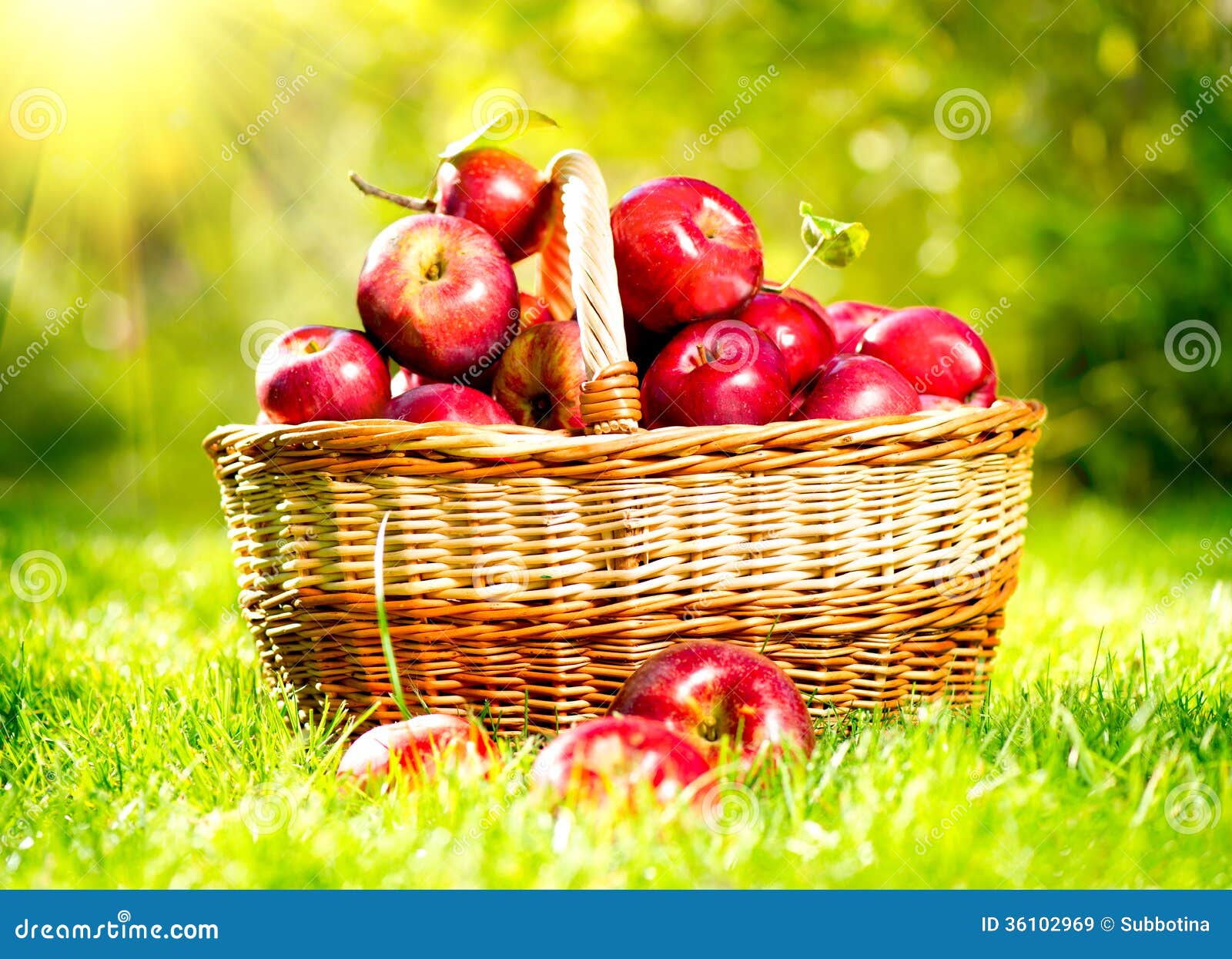 Appelen in een Mand stock afbeelding. Image of groei - 36102969