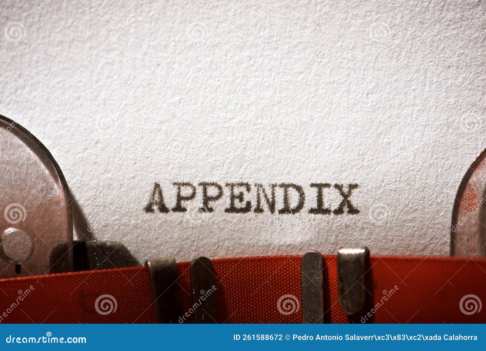 Appendix concept view stock photo. Image of codicil - 261588672