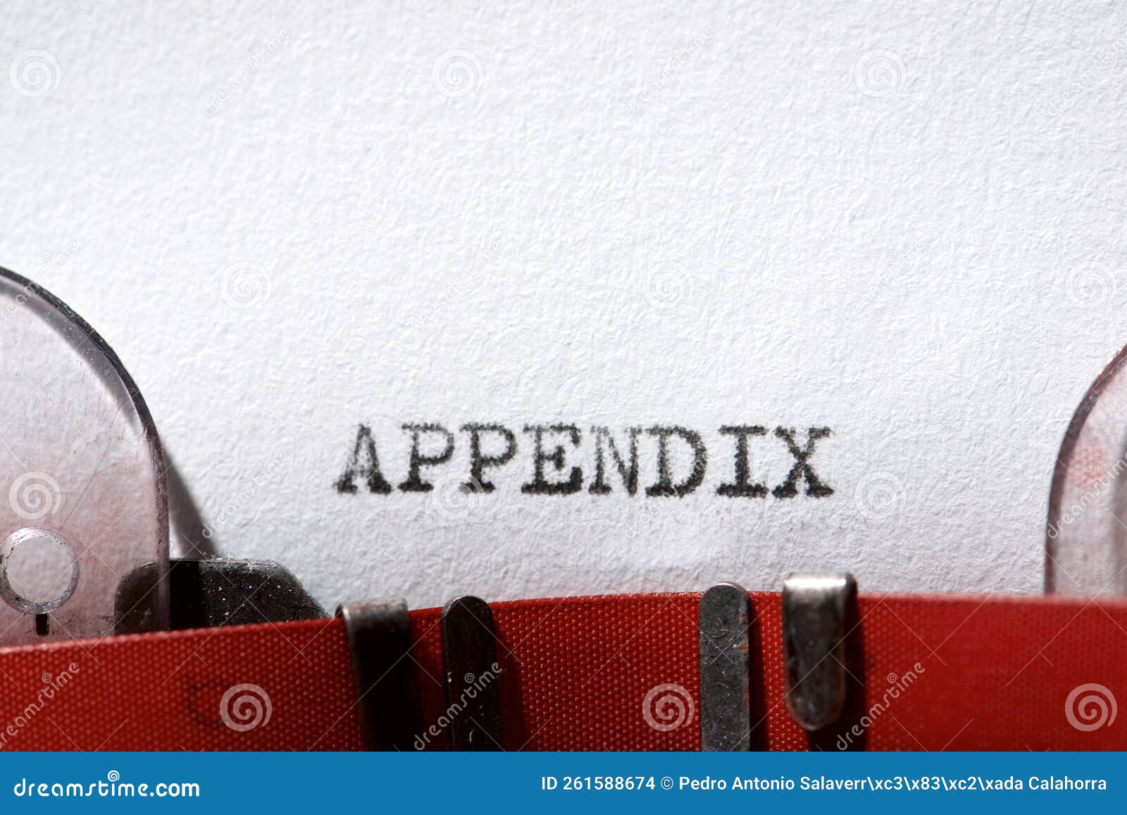 Appendix concept view stock photo. Image of addendum - 261588674