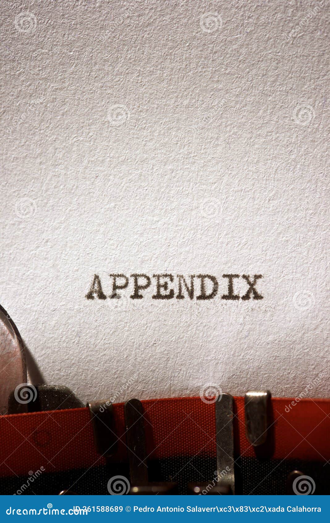 Appendix concept view stock image. Image of document - 261588689