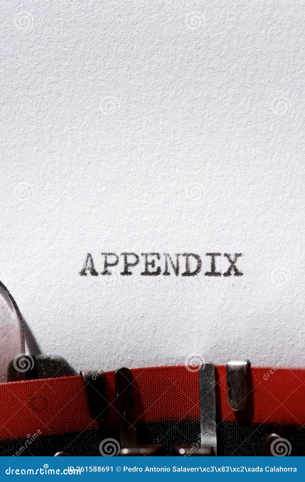Appendix concept view stock image. Image of lettering - 261588691