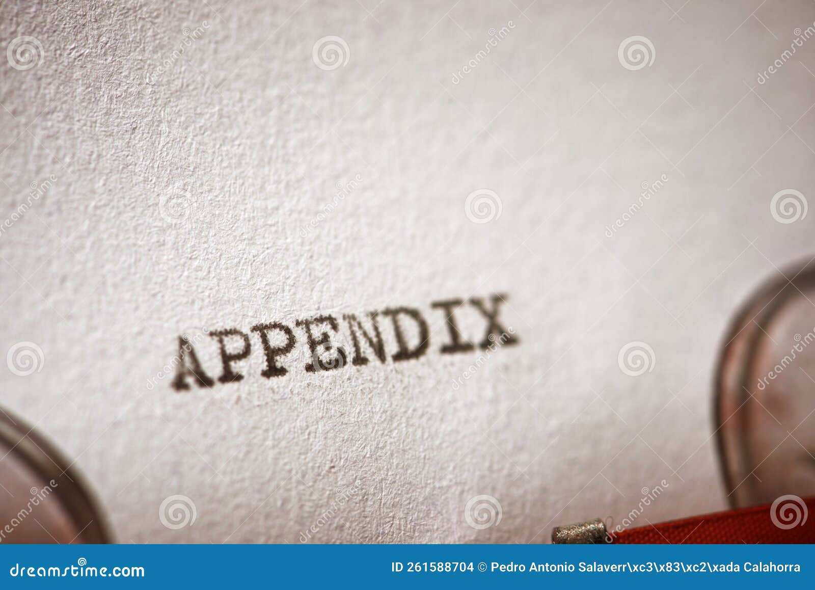Appendix concept view stock photo. Image of detail, postscript - 261588704