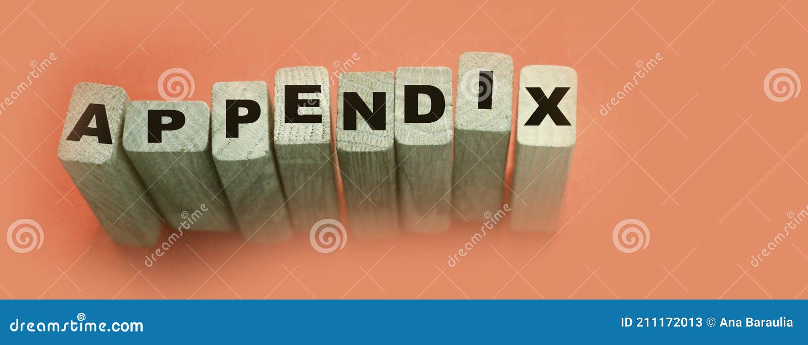 Appendix Word Made Of Square Letter Word On Green Background. Stock ...