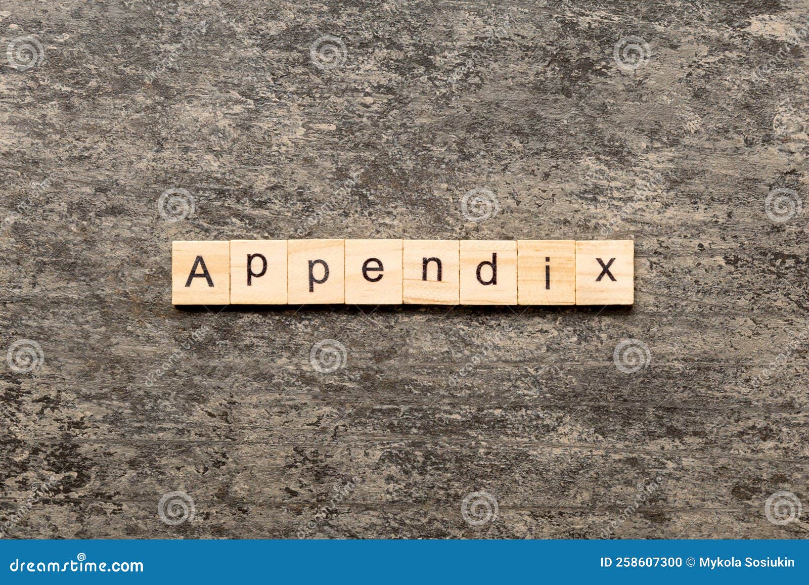 Appendix Word Written on Wood Block. Appendix Text on Table, Concept ...