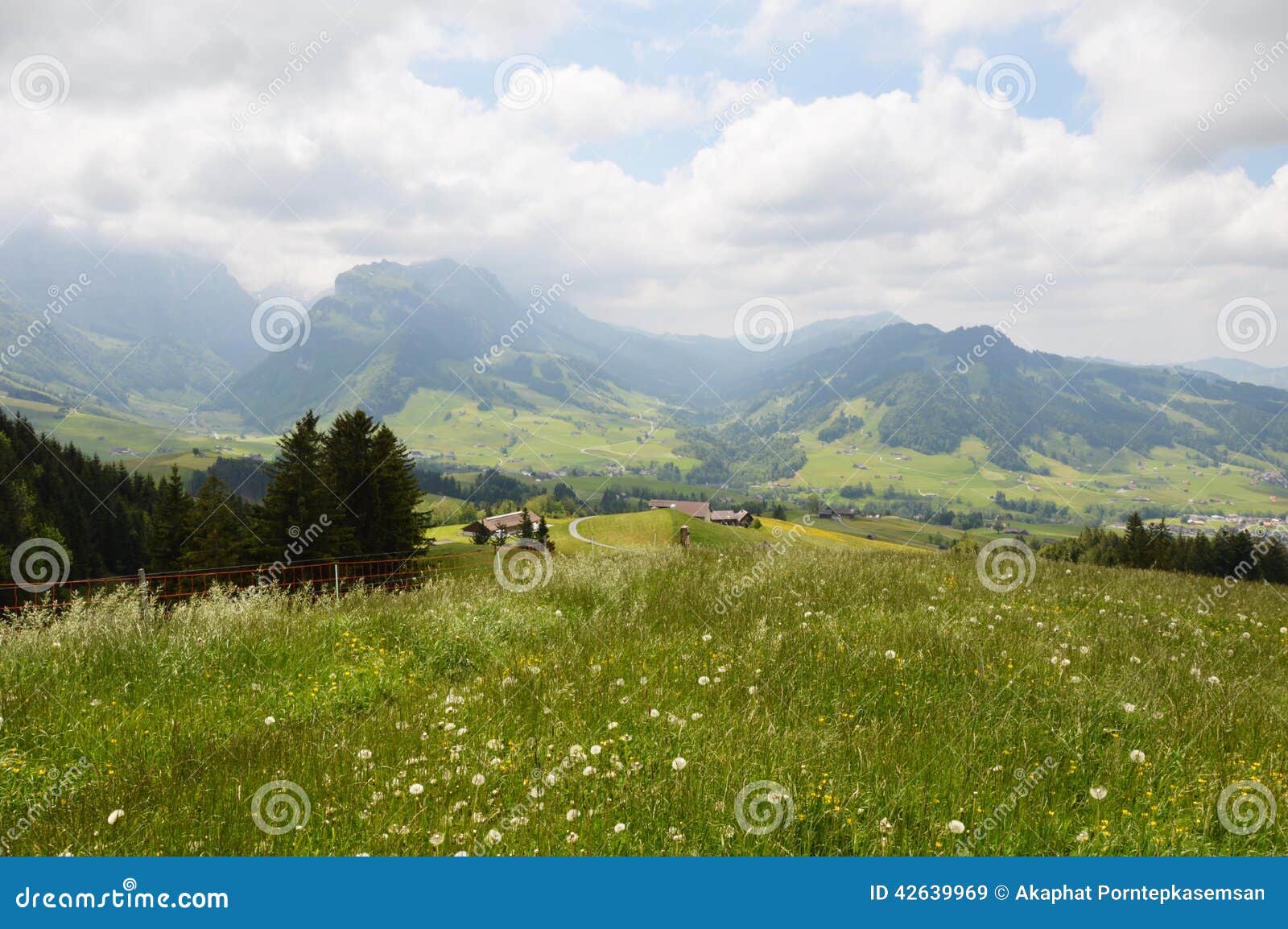 Appenzell-Landschaft stockbild. Bild von himmel, feld - 42639969