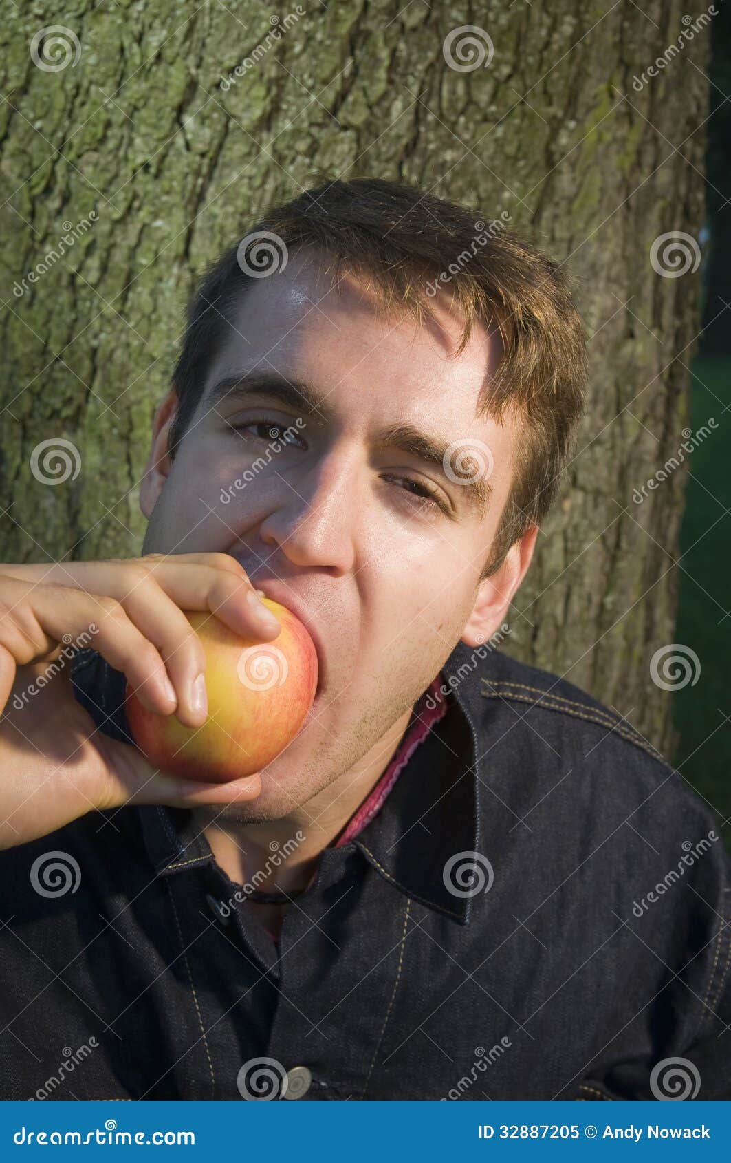 Appetite for apple stock image. Image of look, detail - 32887205