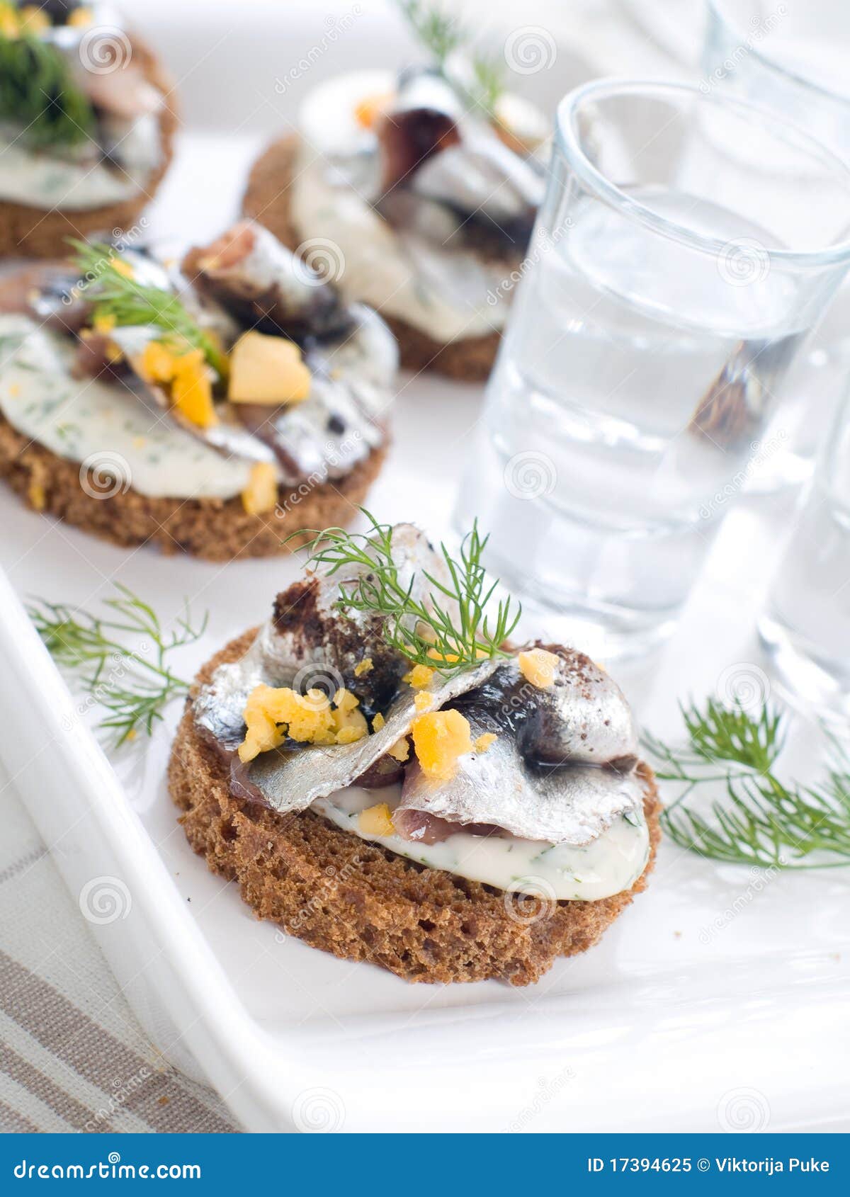 Appetizer stock image. Image of vodka, anchovy, food - 17394625