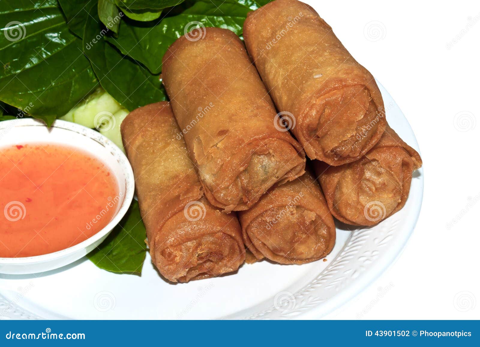 Appetizer food stock photo. Image of crispy, appetizer - 43901502