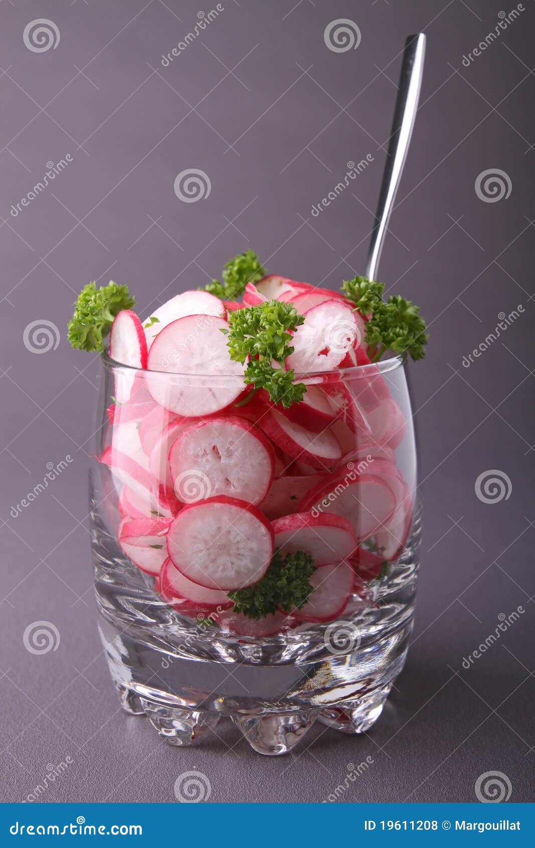 Appetizer, radish stock photo. Image of cuisine, summer - 19611208