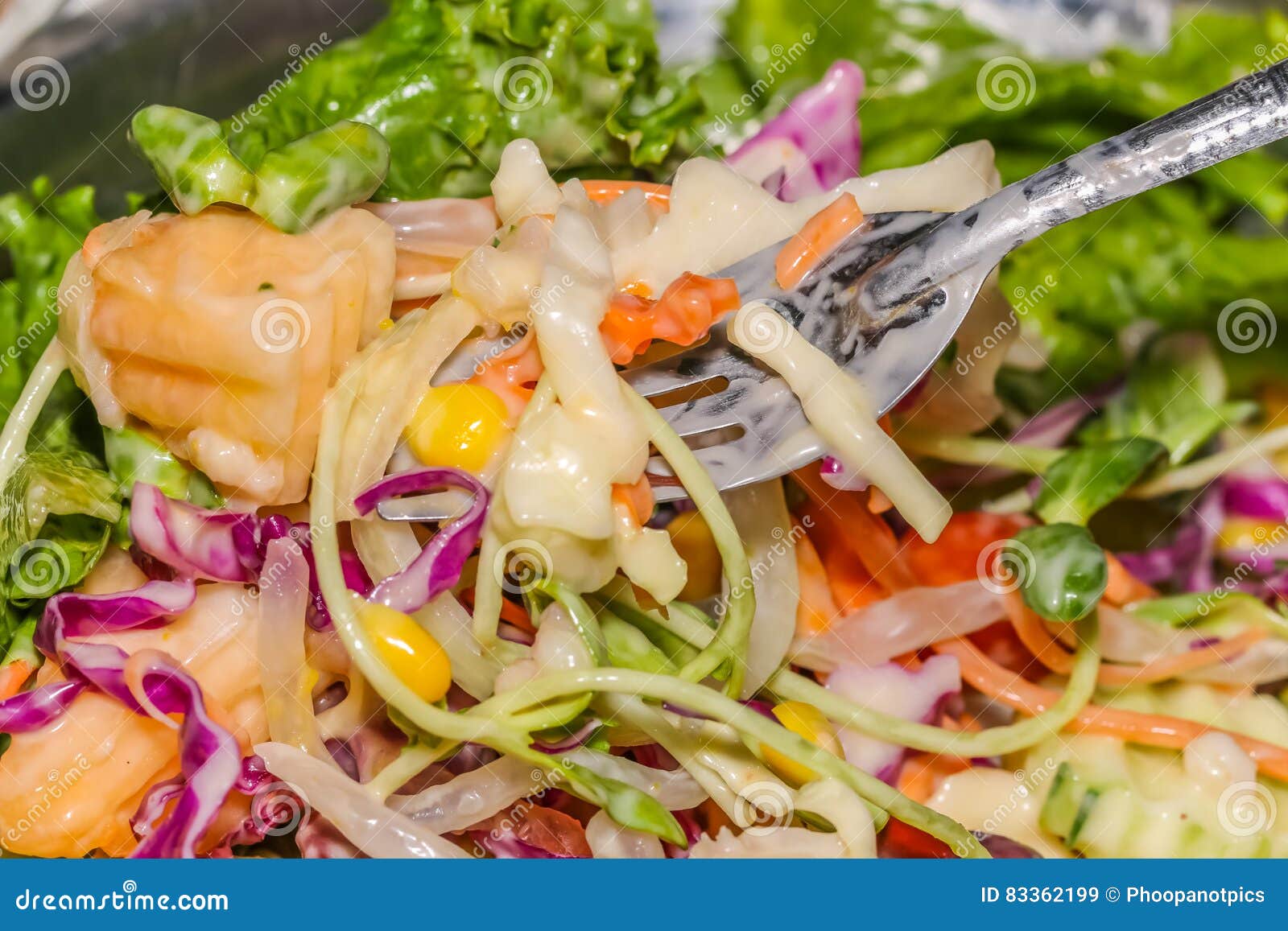 Appetizer salad stock image. Image of head, grocery, farm - 83362199