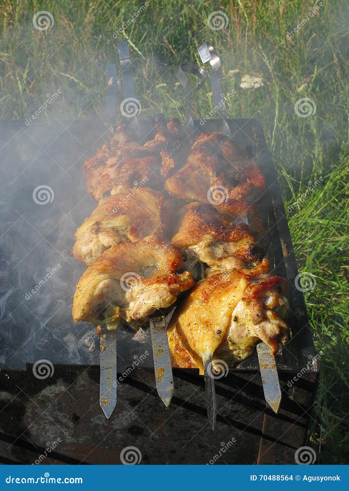 Appetizing Delicious Fried Meat on a Barbecue Grill Outdoors. Stock ...
