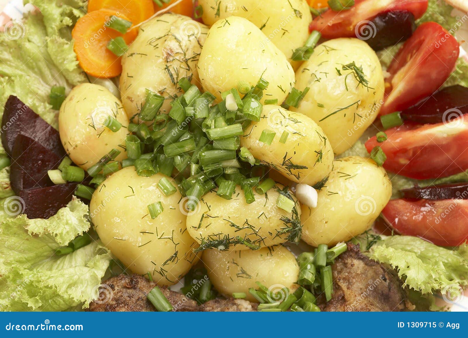 Appetizing dish stock image. Image of food, copious, macro - 1309715