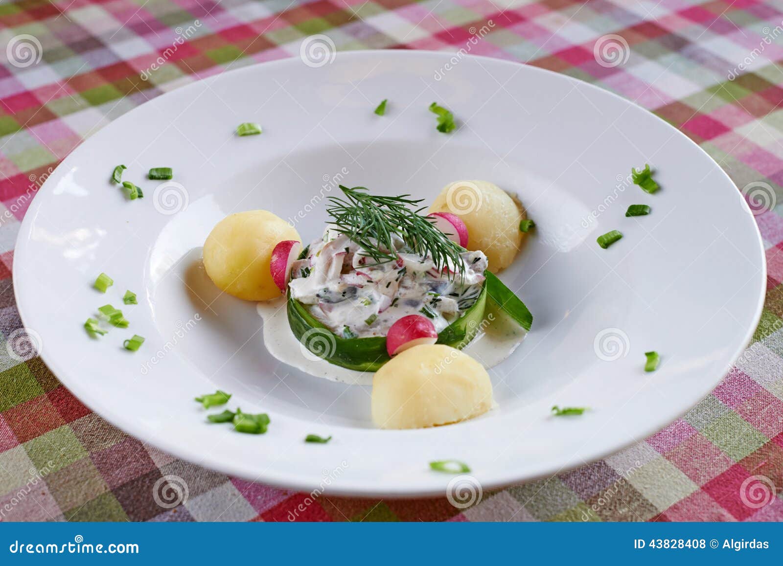 Appetizing Dish in Culinary Art Stock Photo - Image of checkered ...