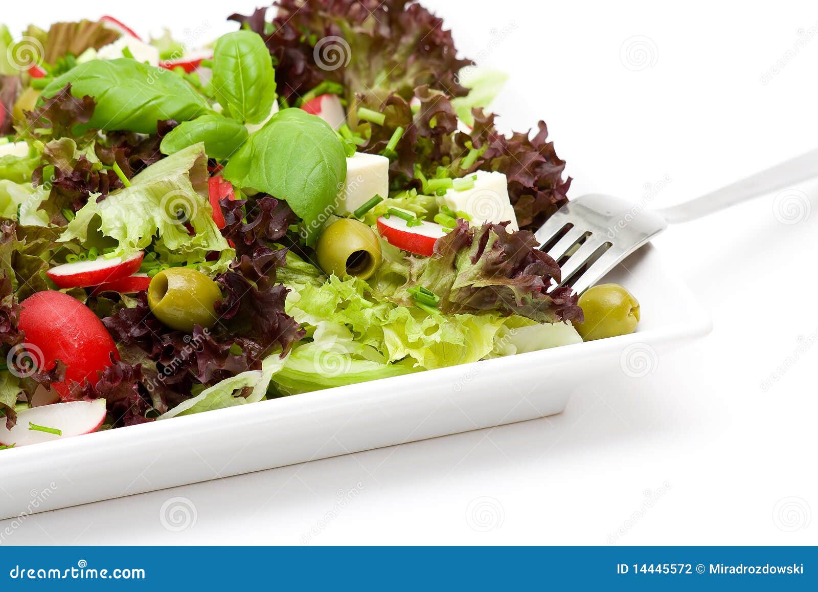 Appetizing healthy salad stock photo. Image of greek - 14445572