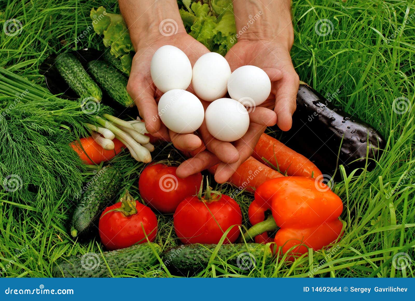 Appetizing Light Vegetables Snack Stock Photo - Image of beauty, food ...