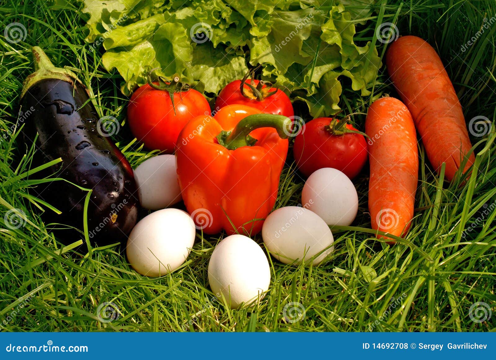 Appetizing Light Vegetables Snack Stock Photo - Image of grass, color ...