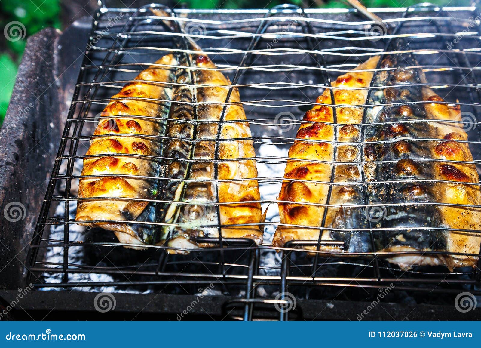 Appetizing Pieces of Roasted Fish on the Fire Stock Photo - Image of ...
