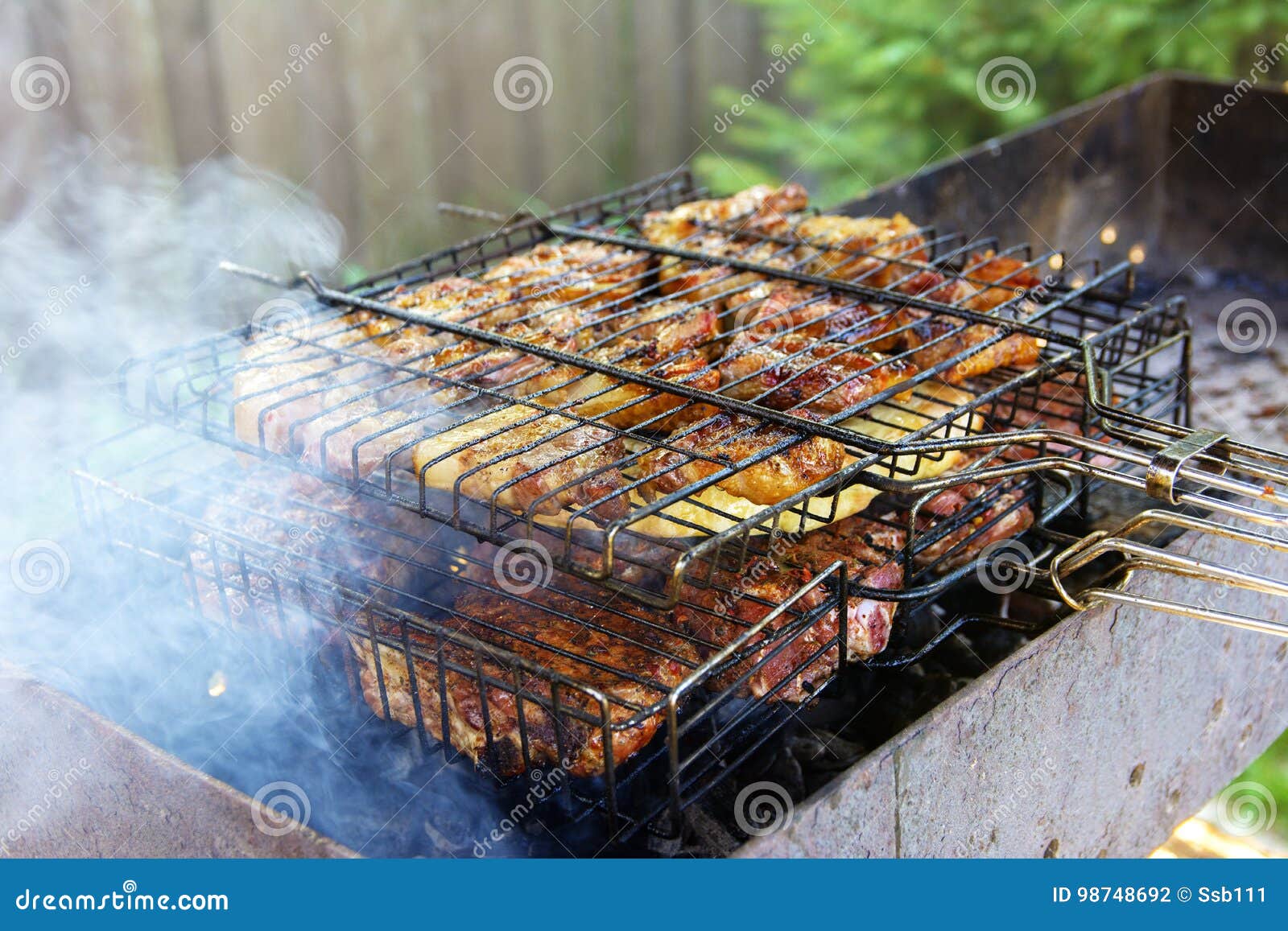 Appetizing Shish Kebab Cooked on the Coals of Fruit Trees. Stock Photo ...