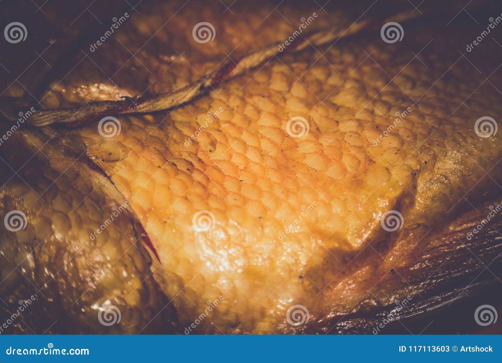 Smoked tasty perch stock image. Image of snack, healthy - 117113603