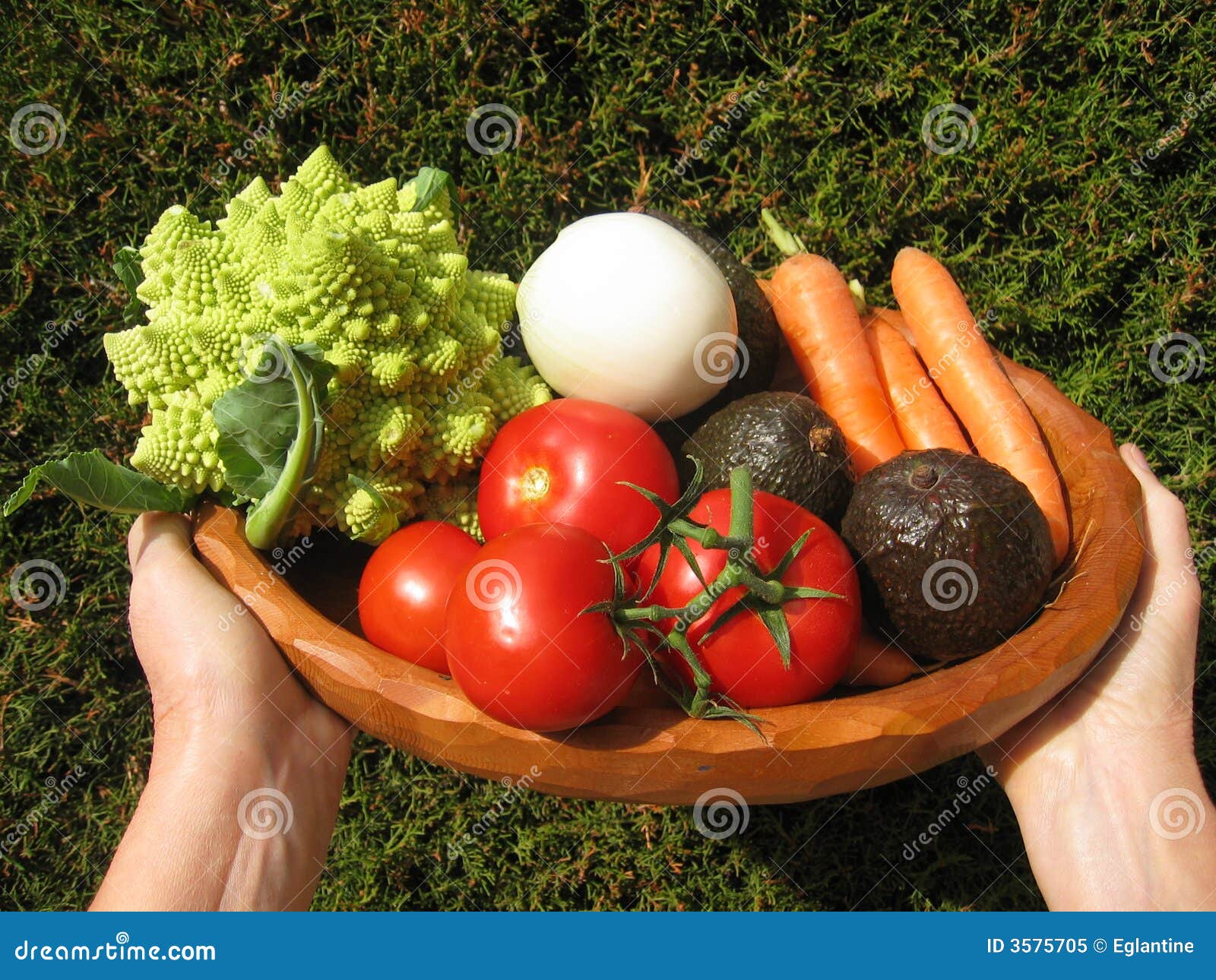 Appetizing vegetables stock image. Image of menu, fresh - 3575705