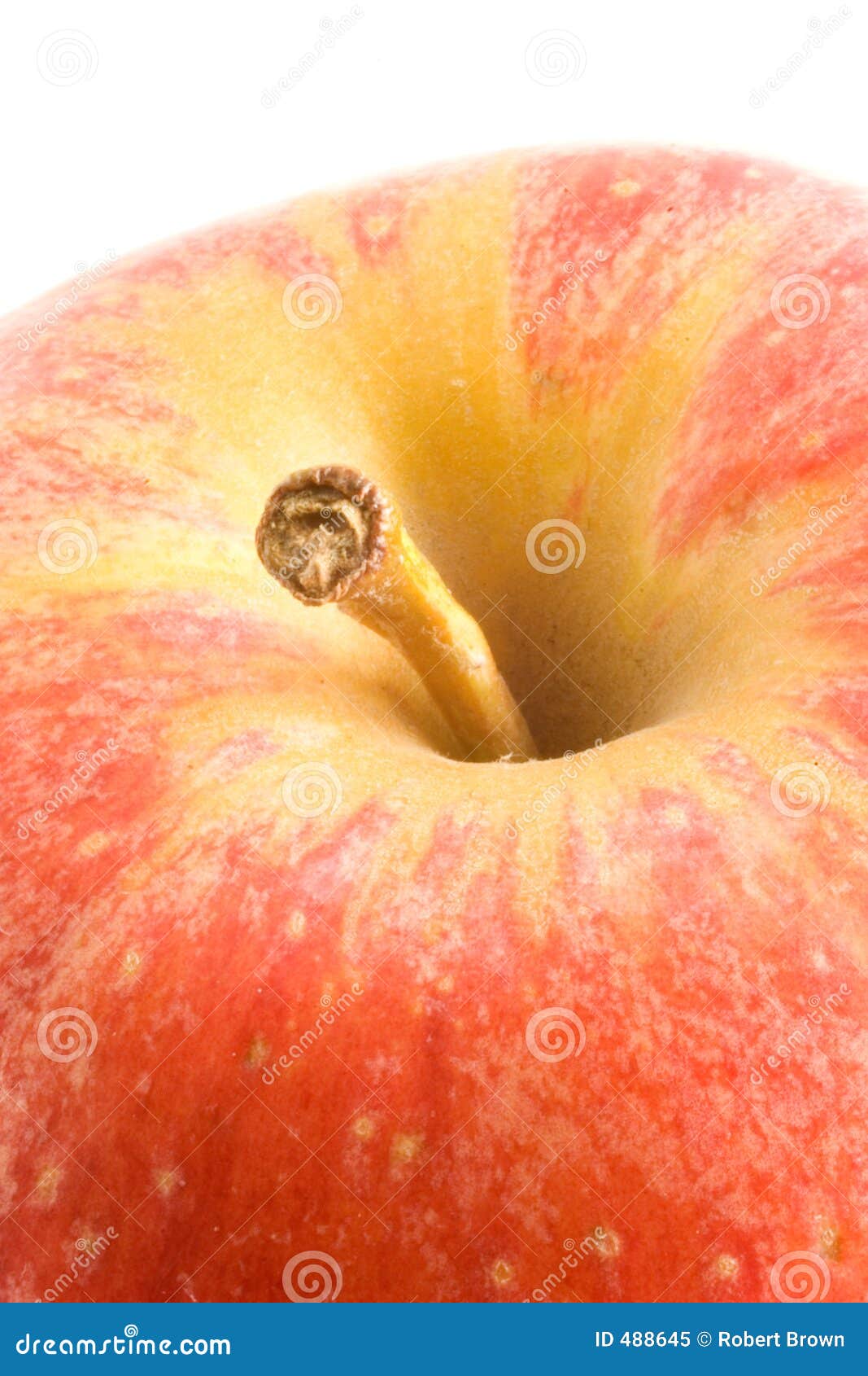 Applause for the Apple 4 stock image. Image of healthy - 488645